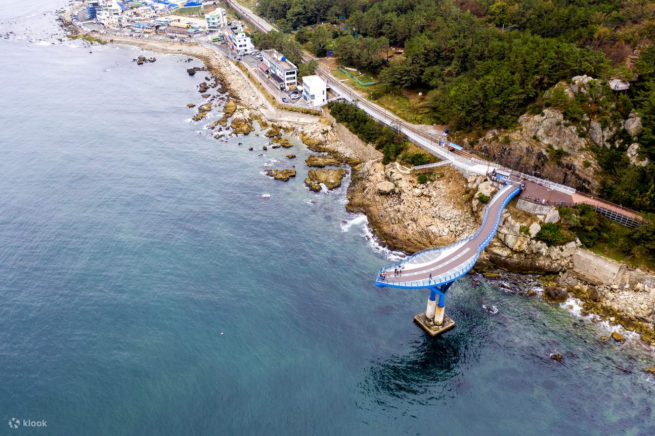 [Busan One Day Tour] Special places in Busan that you must introduce to ...